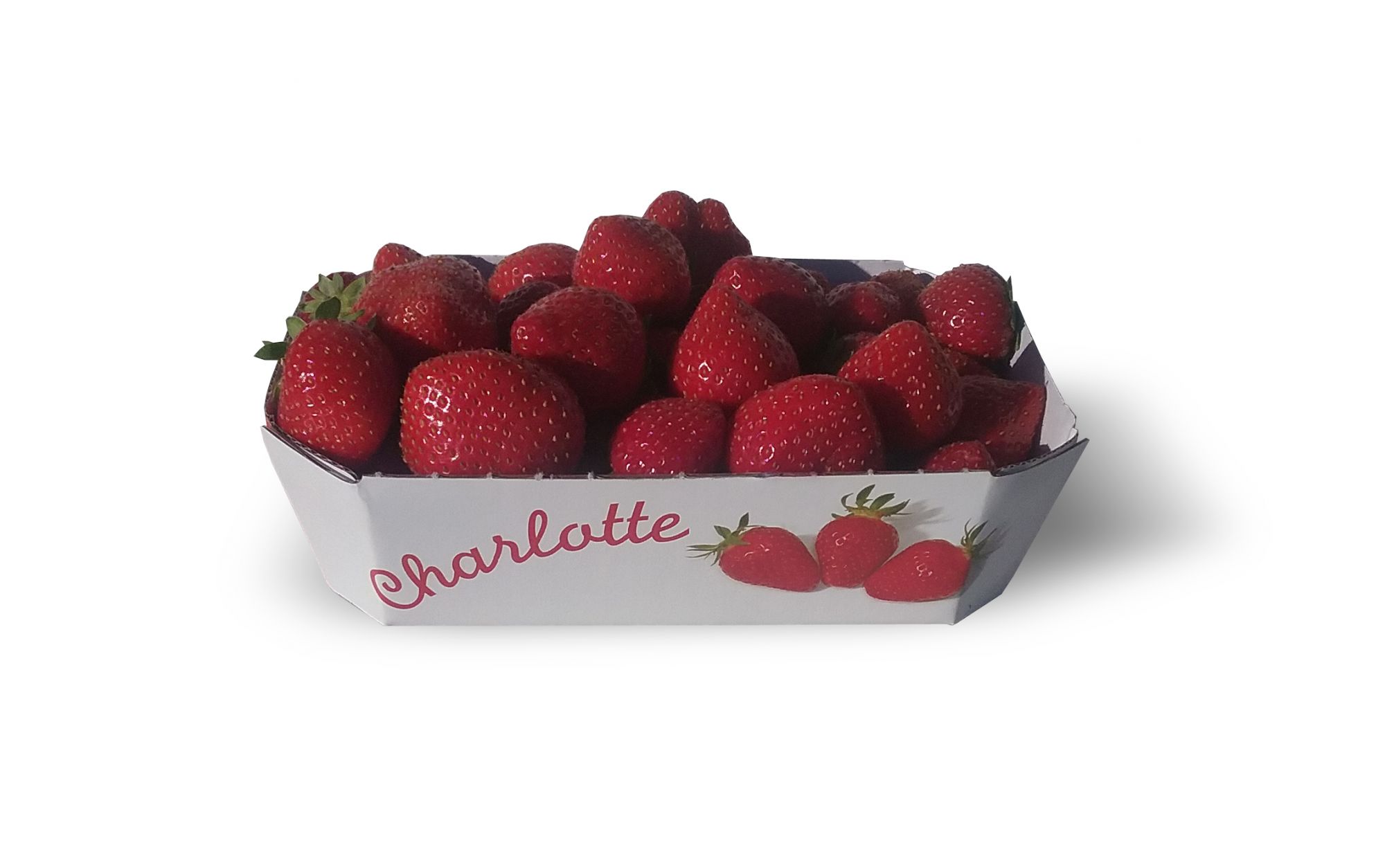 Fraise charlotte ou marra des bois - Fruits et légumes Rhône
