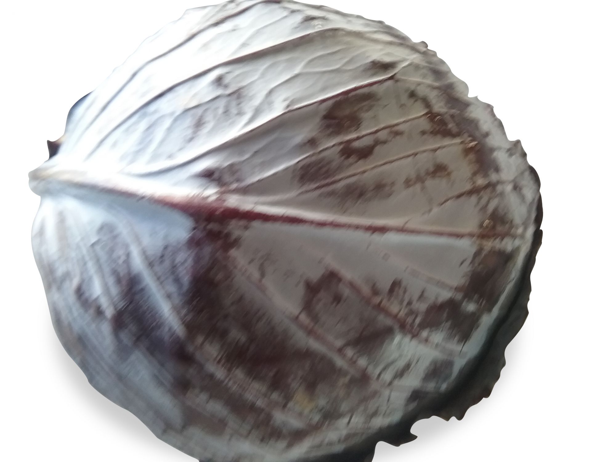 Choux rouges - Fruits et légumes Rhône