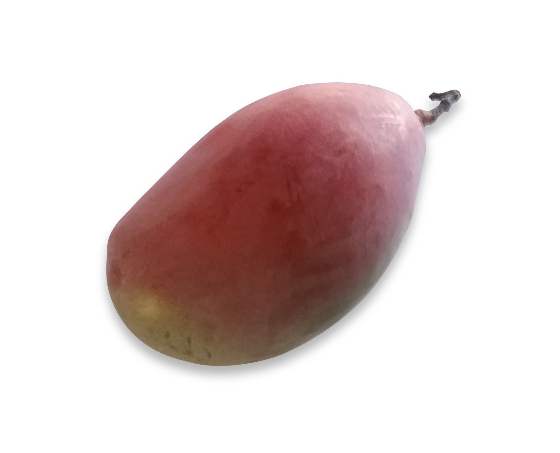 mangue BIO - composez votre panier de fruits et légumes