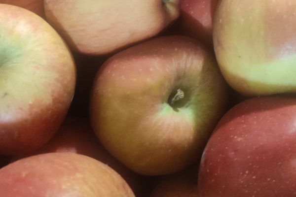 Pomme red one - Fruits et légumes Rhône